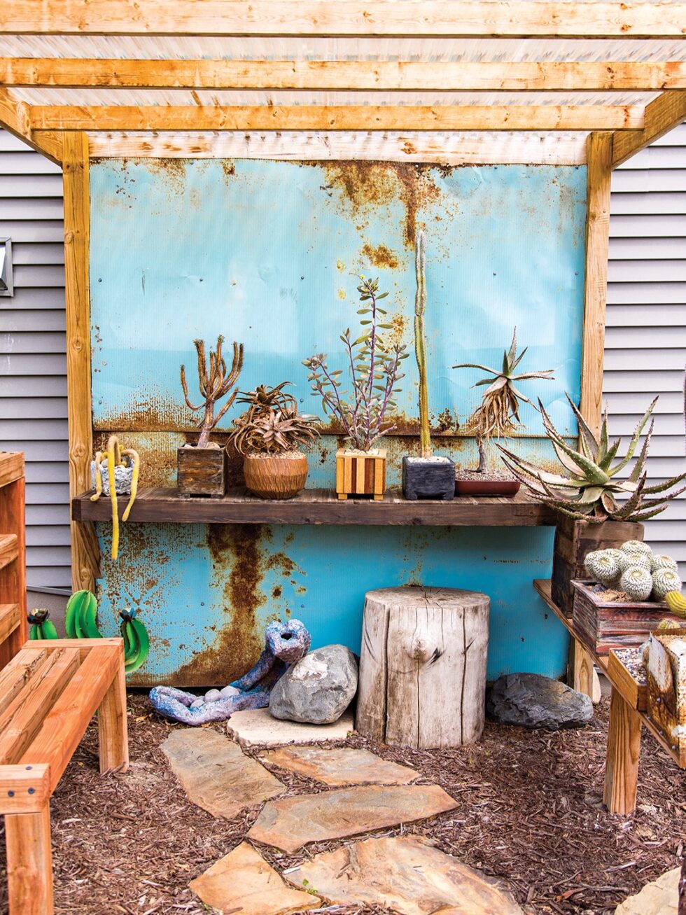Cactus Boxes Reflects the Beauty of Nature - White Bear Lake Magazine