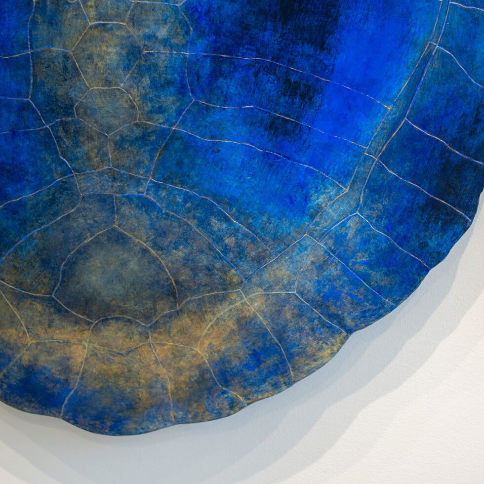 “Carapace” Balances Strength and Grace - White Bear Lake Magazine