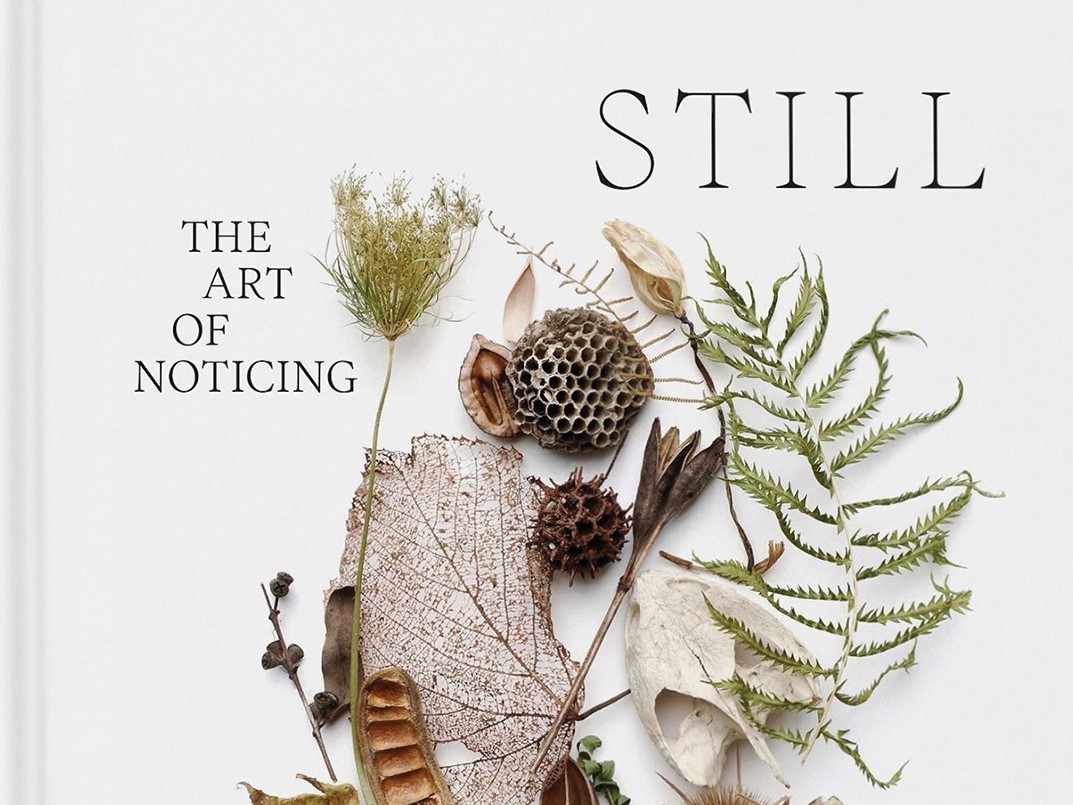 "Still: The Art of Noticing" - White Bear Lake Magazine